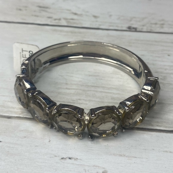LOFT | Jewelry | Nwt Ann Taylor Loft Silver Tone Rhinestone Hinge ...